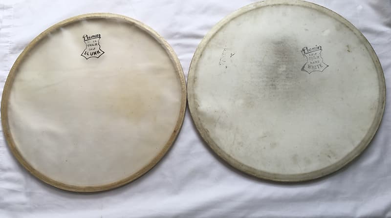 Premier 14" CALF HARD WHITE & SLUNK SNARE DRUM HEADS 1930's - | Reverb