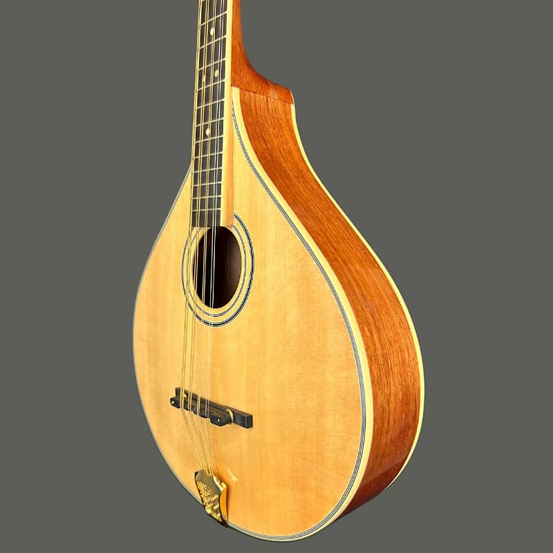 Gold Tone OM-800+ Octave Mandolin - New | Reverb