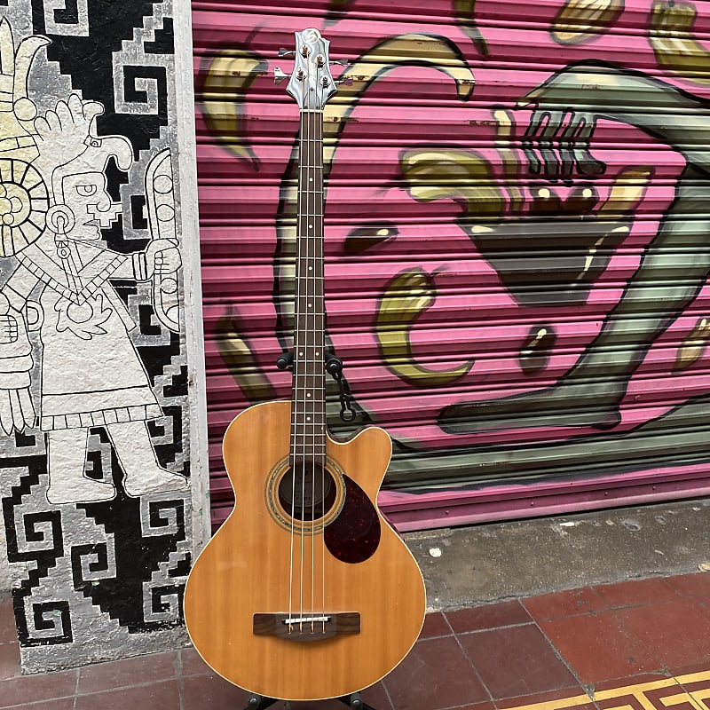 Samick Acoustic-Electric Bass | Reverb