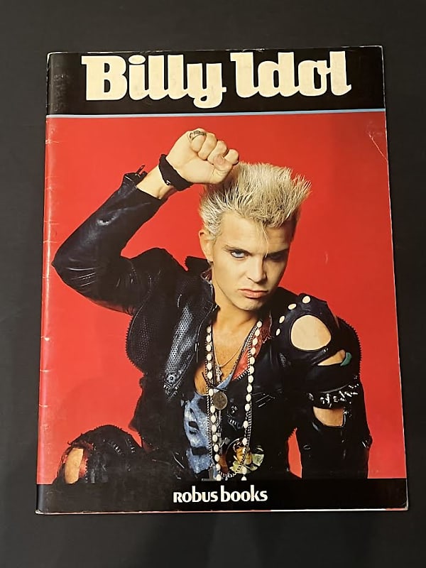 Billy Idol a PIcture Book published by Robus Books with a | Reverb