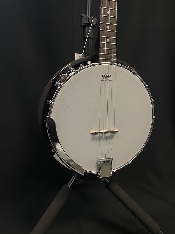 Alabama ALB10 5 String Banjo | Reverb