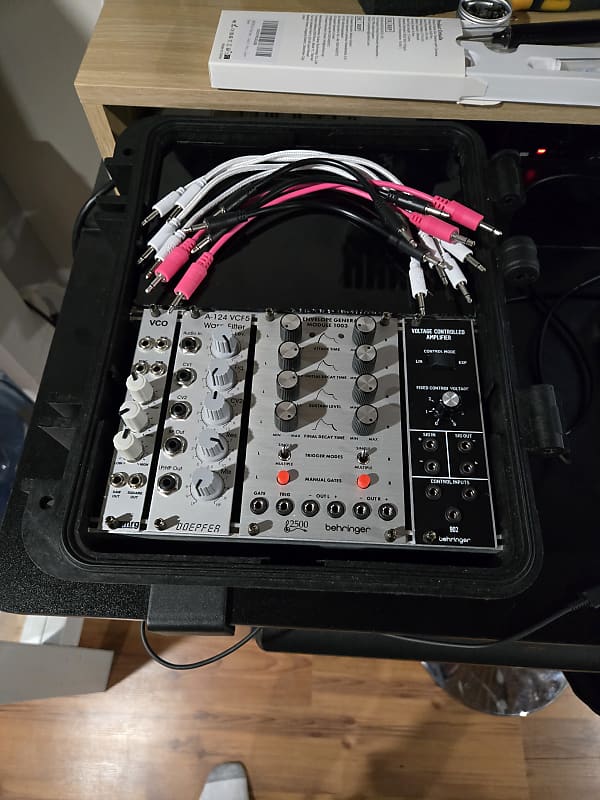 Little mono eurorack synth Powered case with 4 eurorack | Reverb