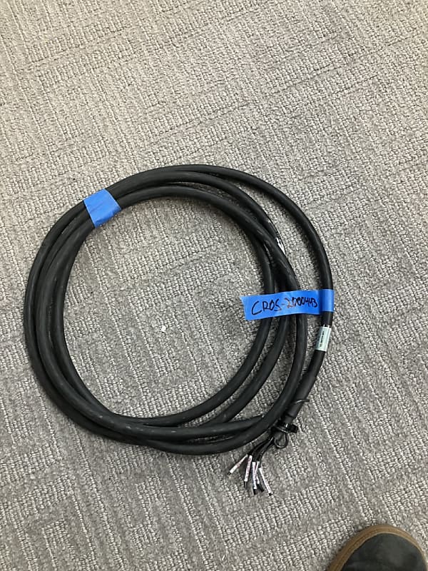 Redco TGS-08 10' 8-Channel Audio Cable | Reverb