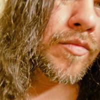 Parrot Harmonica key of G ? Chrome | Reverb