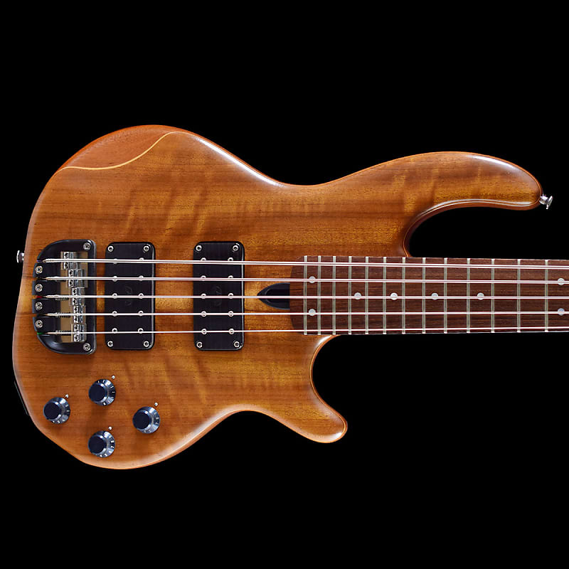 Wal MK3 5-String 2001 - Shedua | Reverb
