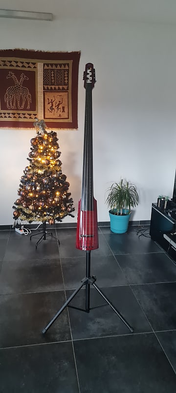 NS Design WAV5 2019 or so - Flame and spalted | Reverb