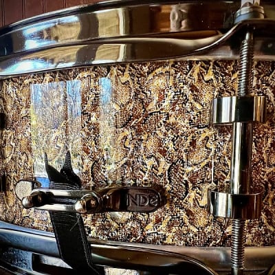 DrumPickers Custom 14x5” Snake Skin Snare | Reverb