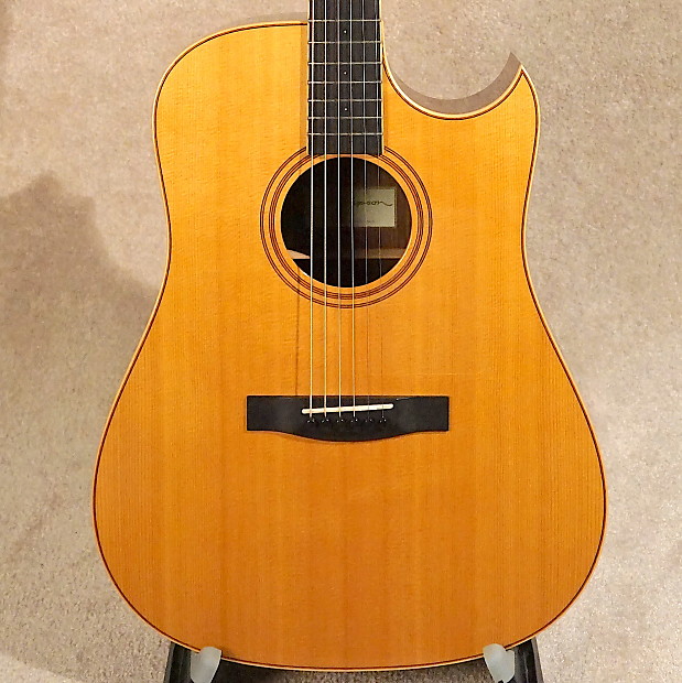 Ted Thompson TDC Acoustic Guitar | Reverb Canada