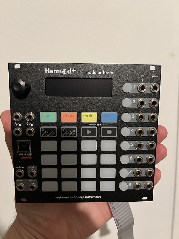 Squarp Hermod+ 2023 - Black | Reverb