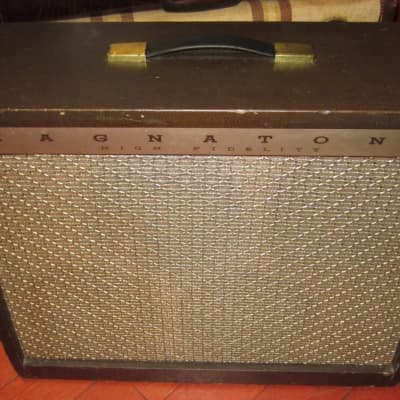 ~1961 Magnatone Custom 415 Clio Bass Amp Brown | Reverb