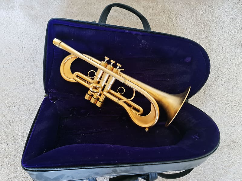 Monette Prana B-Flat Raja Flumpet, Gold Plated 2020 Gold | Reverb