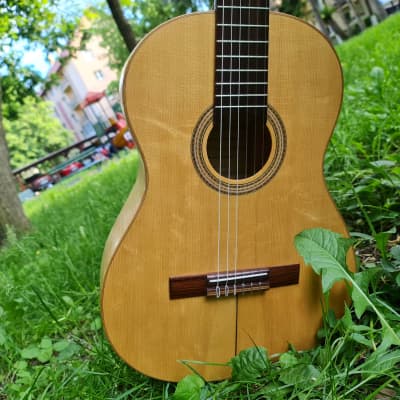 Salvador Cortez All Solid Master Series CS-80 | Reverb Deutschland