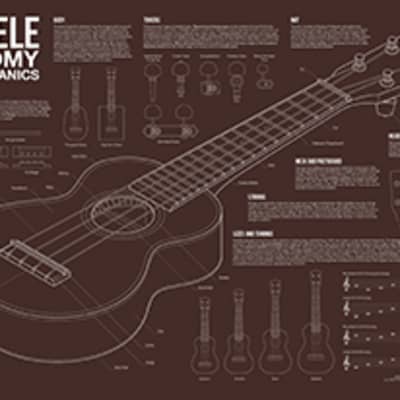 Ukulele Anatomy & Mechanics Wall Chart Poster | Reverb Canada