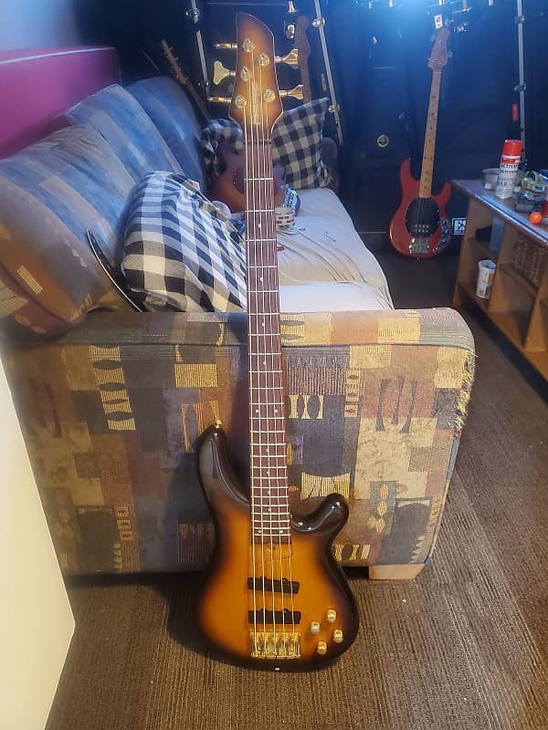 Fernandes 5 string bass 2000 - Burst | Reverb Canada