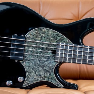 Modulus Flea FB5 5-String Bass Black | Reverb