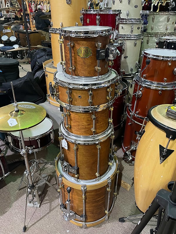Premier Signia Maple 5-piece Drum Kit Set - Local Pickup Only | Reverb
