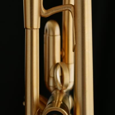 Pre-Owned Monette Raja P3-STC Trumpet in Brushed Gold Plate! | Reverb