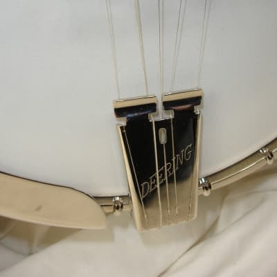 Deering Golden Era (Stainless Frets) 5-String Banjo w/ Case | Reverb