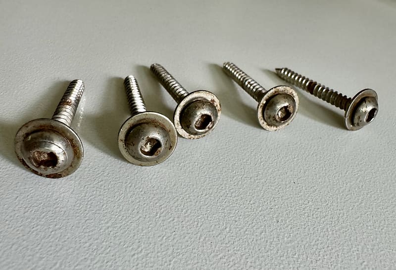Ampeg [5] Cabinet Screws 1960s - 1970s - Chrome | Reverb