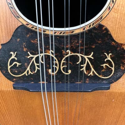 Lyon and Healy Italian Style Bowlback Mandolin Brazilian | Reverb