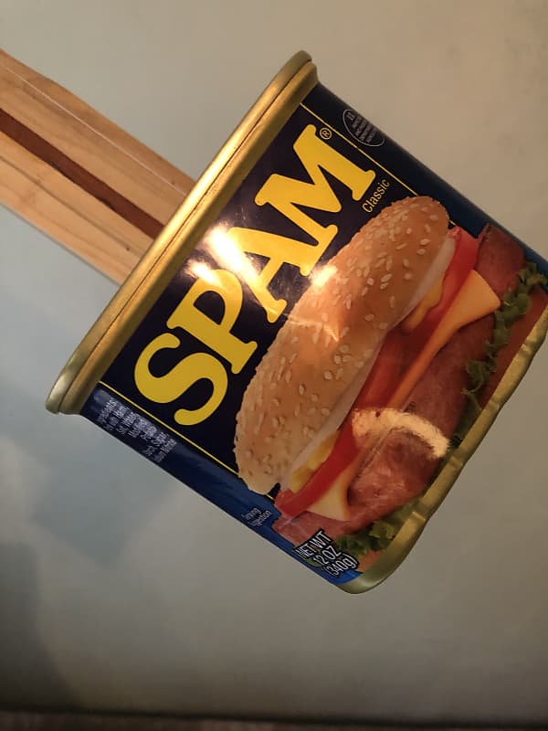 Sunshine Mountain Dulcimers Spamjo 2022. Acoustic/Electric | Reverb