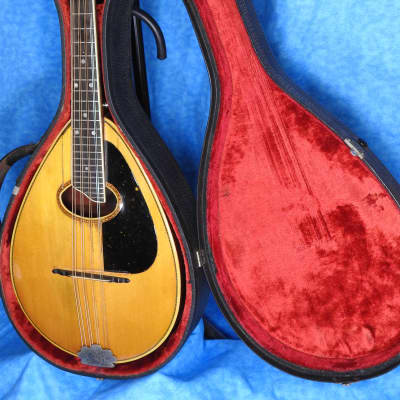 Weymann (Weymann & Son) 1912 MandoLute (mandolin) w/OHSC | Reverb