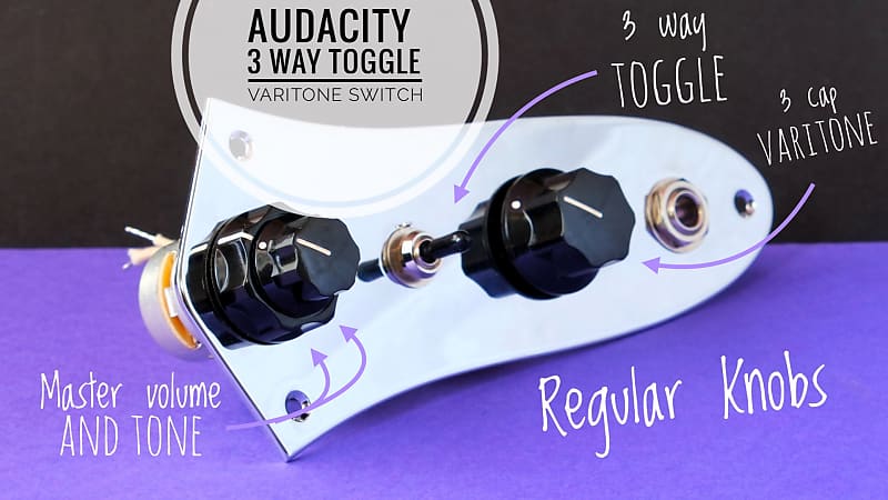 Audacity. A Fender Jazz Bass Control Plate w/ 3 way Toggle | Reverb