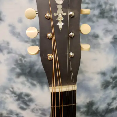 Vintage 1920's Wurlitzer Banjolin New Strings Pro Setup Banjo | Reverb