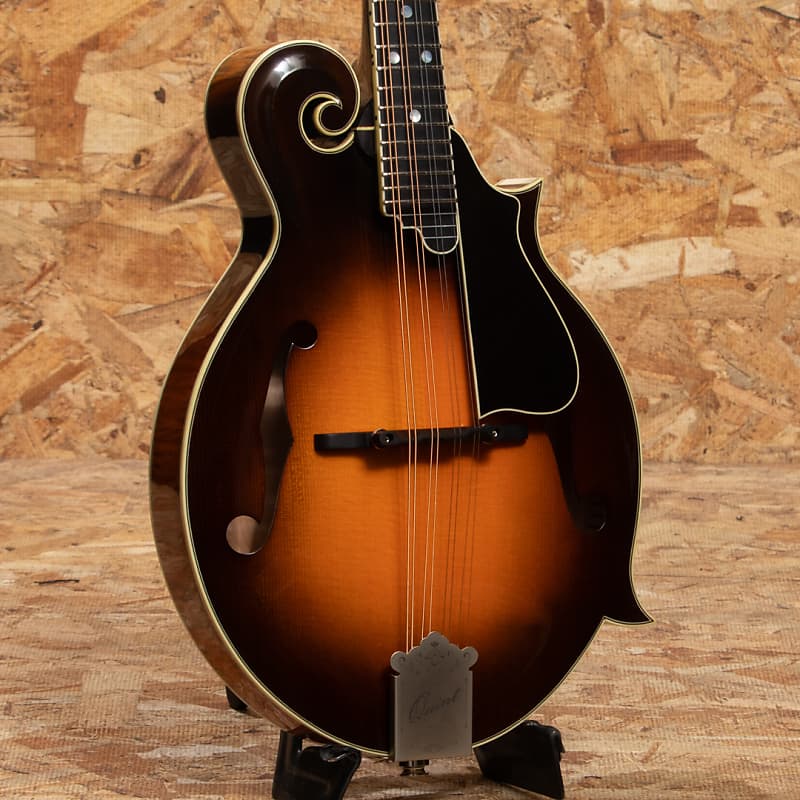 Quint QT-F5 w/Pure Mini | Reverb