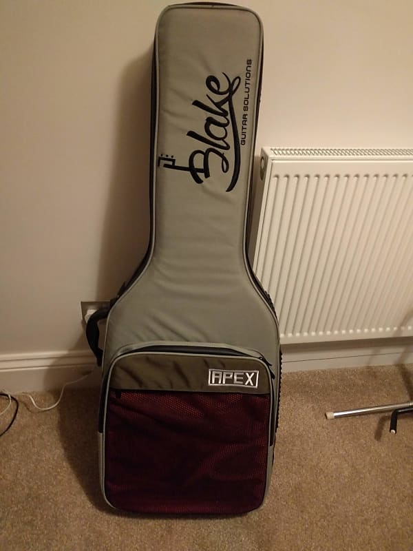 Blake Guitar Solutions APEX Guitar Case. | Reverb UK