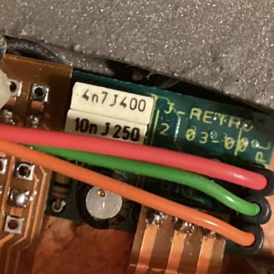 Acacia by Matt Friedman Custom 6-String Electric Bass Guitar | Reverb