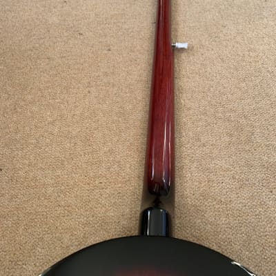 Countryman 5 String Banjo | Reverb