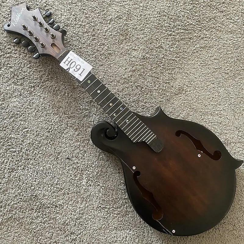 Washburn 8 String Mandolin, Mahogany Neck, Rosewood | Reverb
