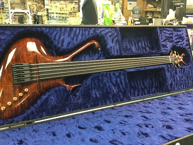 Ritter Raptor 5 string fretless handmade bass | Reverb
