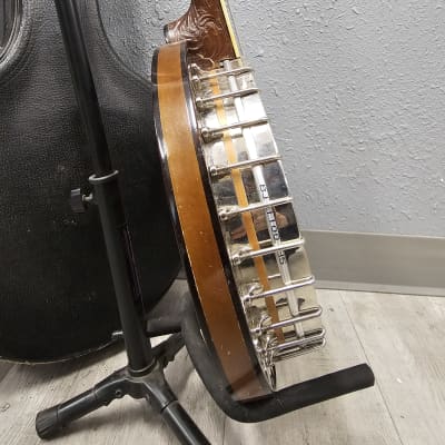 VEGAPHONE PRO 20'S PLECTRUM | Reverb