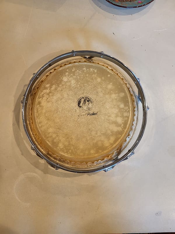 Latin Percussion 5 lug hoop and skin Bongo/conguita - Chrome | Reverb