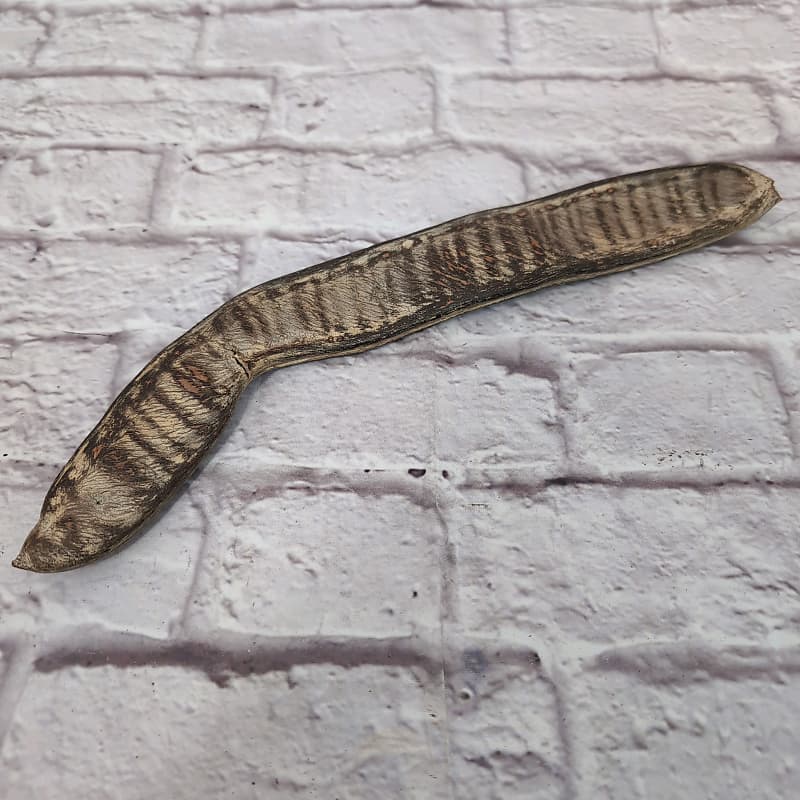 Rattle Pod Shak-Shak Shaker | Reverb