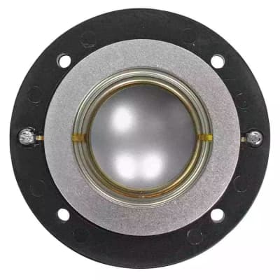 Pair Of Replacement Diaphragms For T-Driver | Reverb