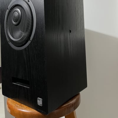 ME-G Geithain MO-2 Monitor Speaker ! | Reverb