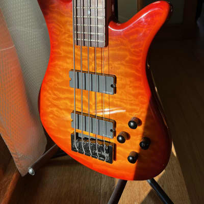 Spector Q-5 Pro | Reverb