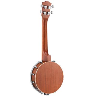 Banjolele 4 String Banjo Ukulele Concert 23 Inch Remo Sapele | Reverb