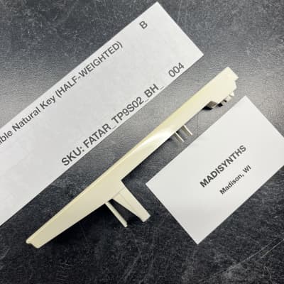 Fatar Replacement HALF Weighted B Key (TP/9S Keybeds) for | Reverb