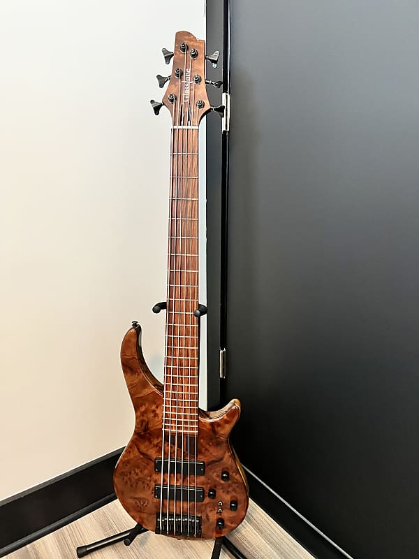 Glasstone Custom 6-String Bass w/ Case | Reverb