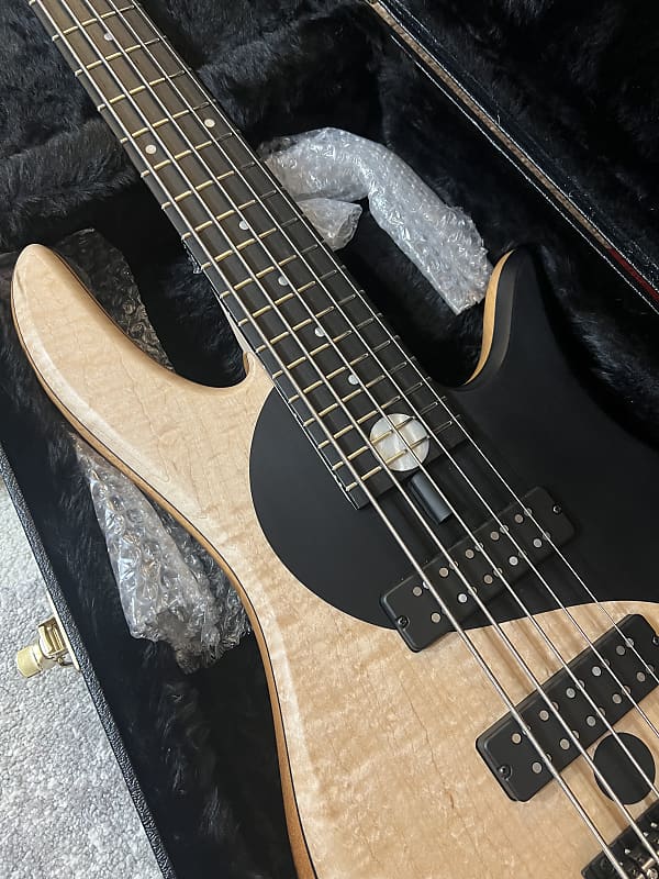 Fodera Yin Yang 5 Standard Bass Guitar Blister Maple with | Reverb
