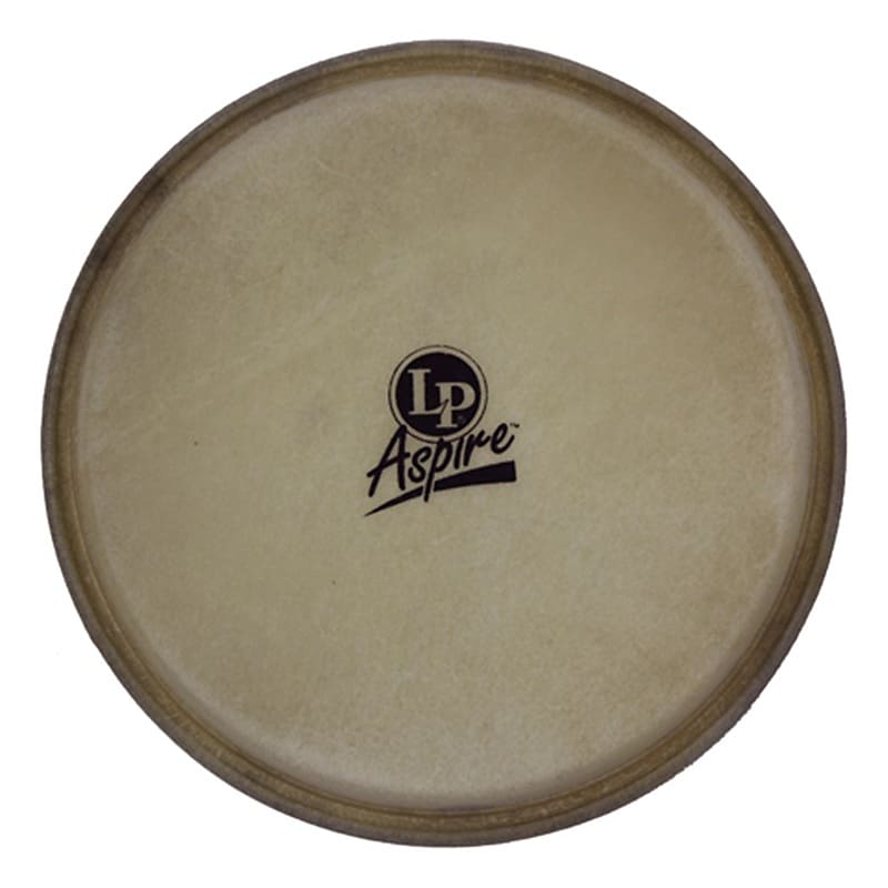 LP LPA663A 6 3/4-Inch Bongo Head | Reverb