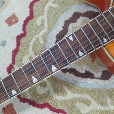 Berkeley L5 Solid wood 2024 - spruce | Reverb