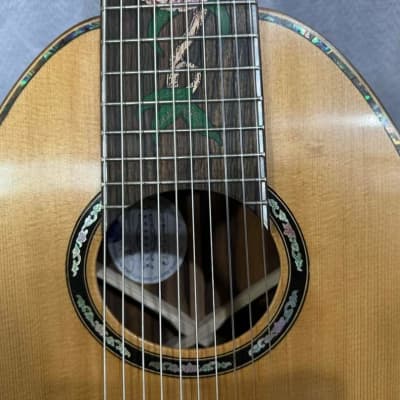 Blueberry Handmade Ten String Classical Nylon String Guitar | Reverb