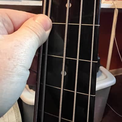 Pedulla Pentabuzz 5 String Fretless Bass | Reverb