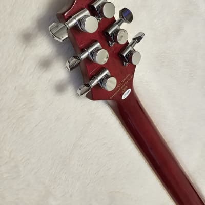 Firefly FFPR Elite (PRS Style) Rainbow | Reverb