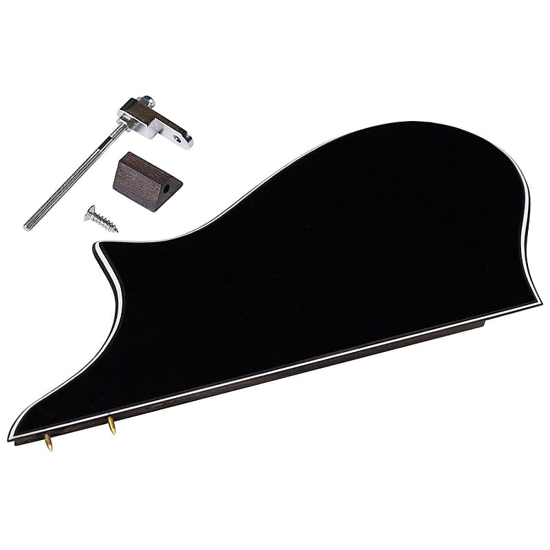 Golden Gate M-401A F-Model Mandolin Pickguard Assembly - | Reverb UK